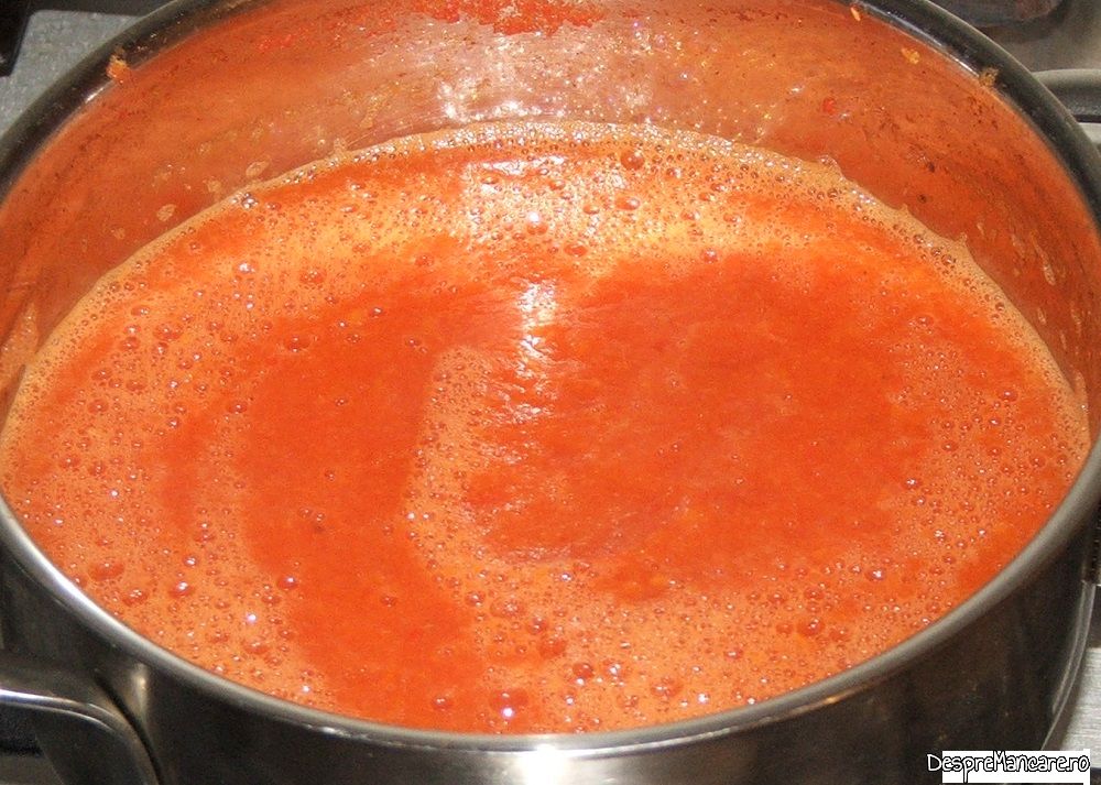 Sosuri pentru preparate din carne, peste, legume, paste fainoase